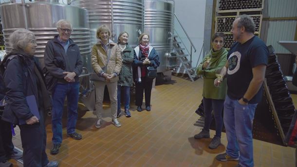 Vídeos de Enoturismo | #Basqueperience | EITB