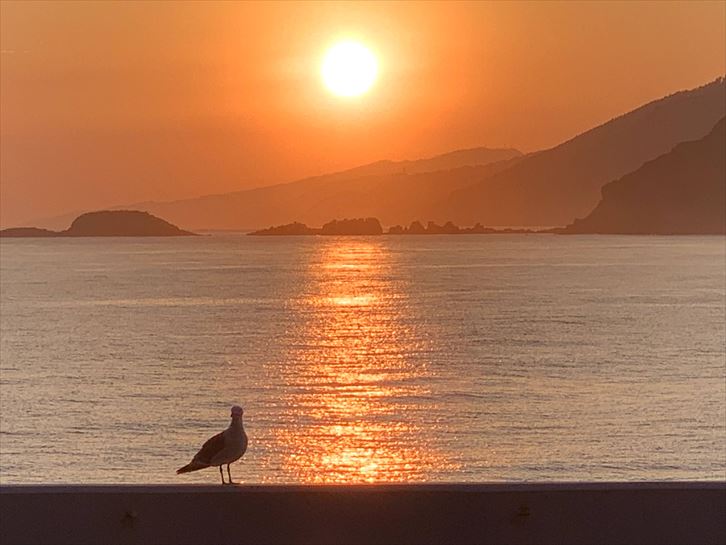 ¡Por fin ha salido el sol!