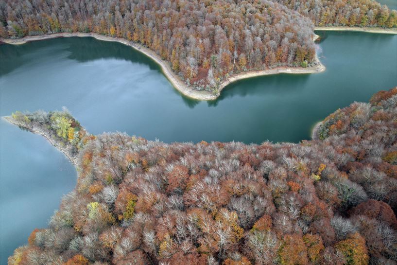 El bosque de Irati se viste de Otoño